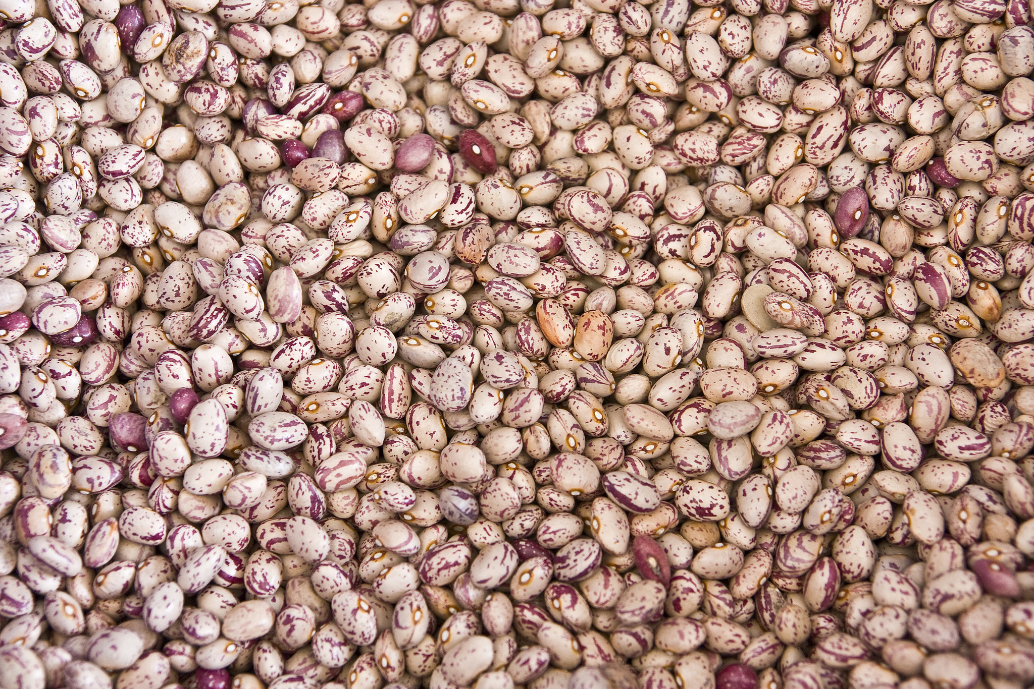 Beans | 20 Foods That Help Curb Overeating | POPSUGAR Fitness